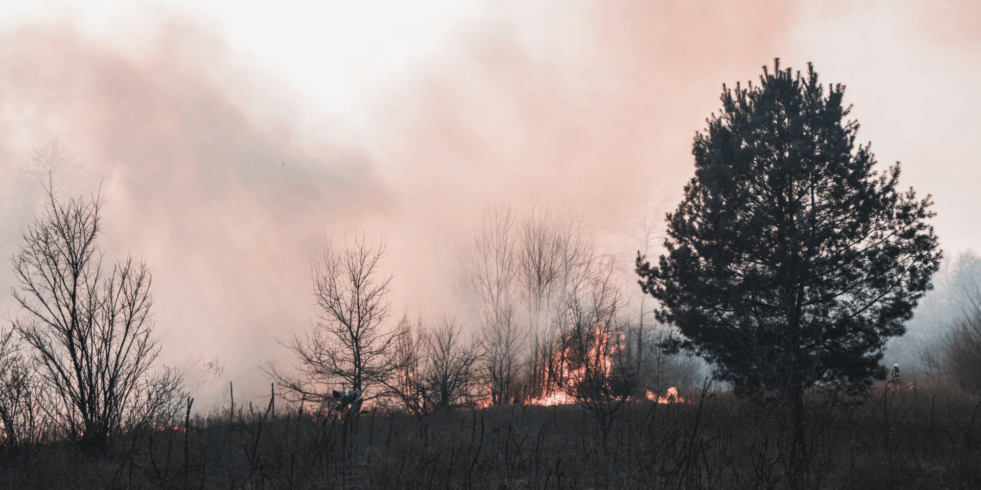 Try to Avoid the Dangers of Breathing Smoke from Fires. - Bonner ...