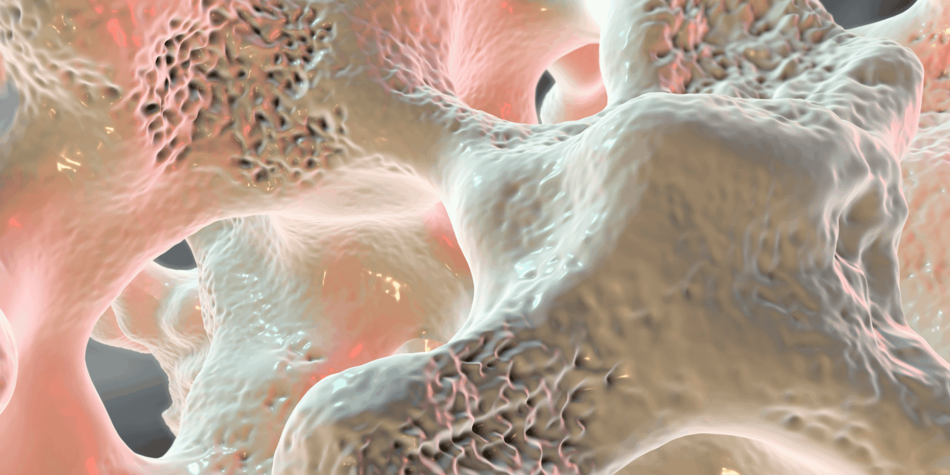 A Good Night’s Sleep may Help Prevent Osteoporosis. - Bonner General Health